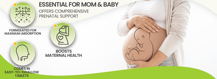 Folic Acid Supplements: Vital Support for Conception and Pregnancy ...